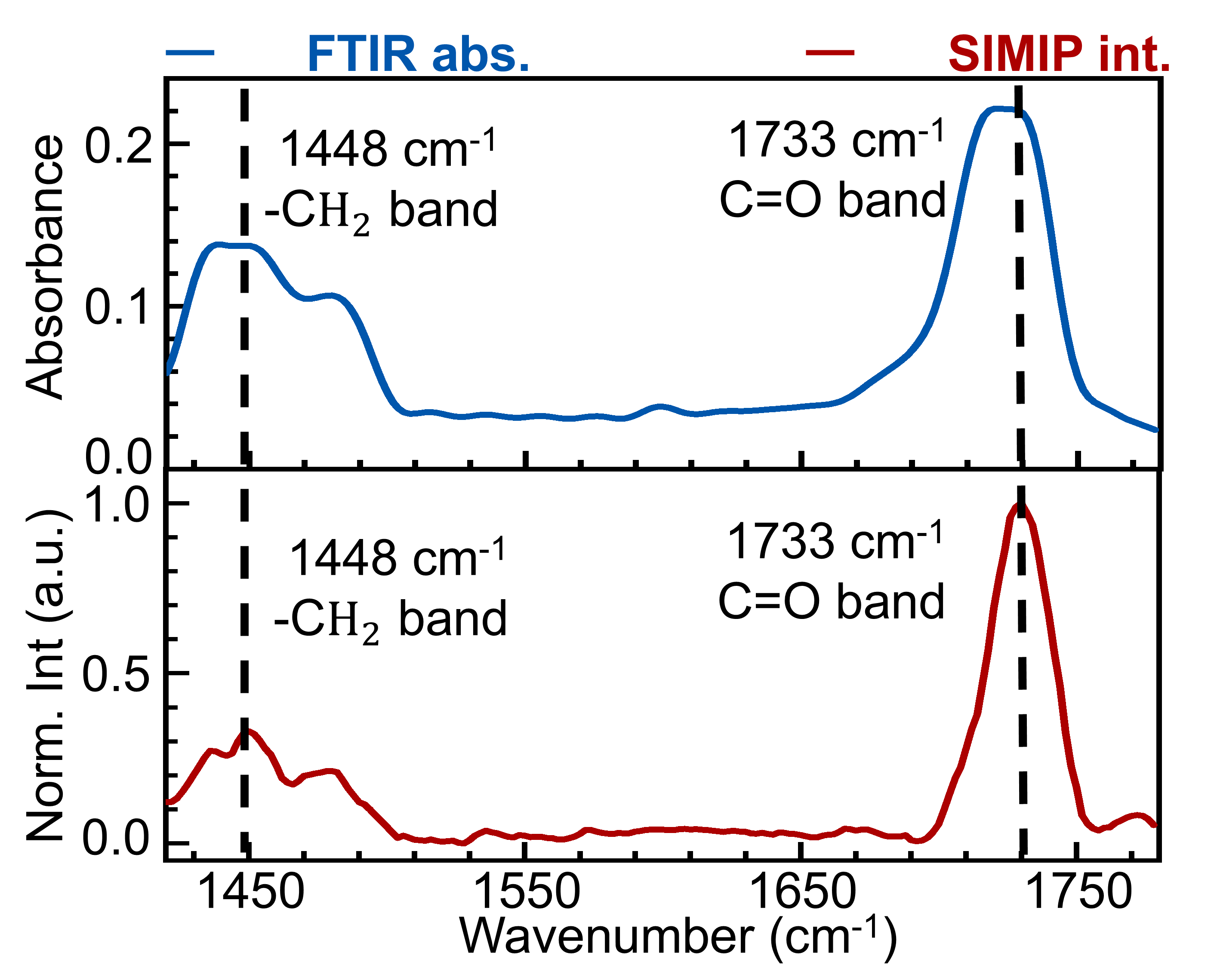 Advanced Photonics | 光学与量子信息研究所：结构光照明中红外光热成像