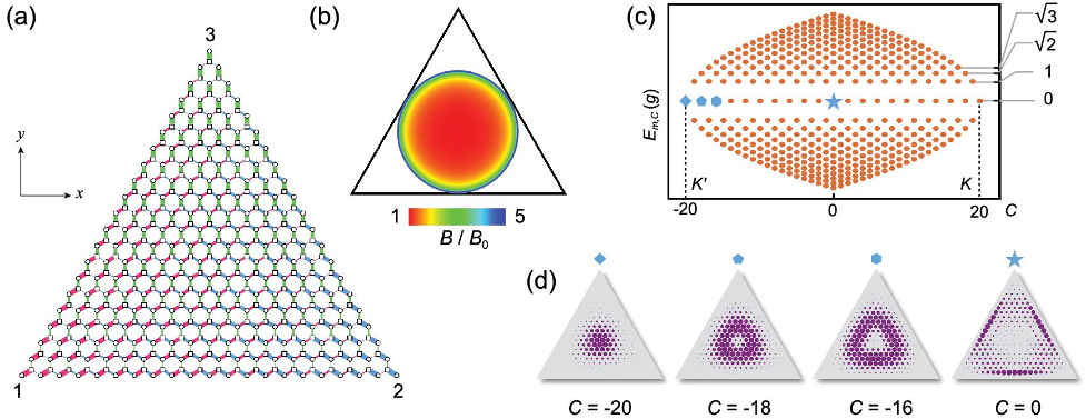 Topological phases of quantized light