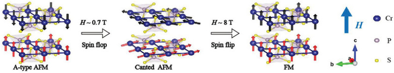 Magnetic Structure and Metamagnetic Transitions in the van der Waals ...